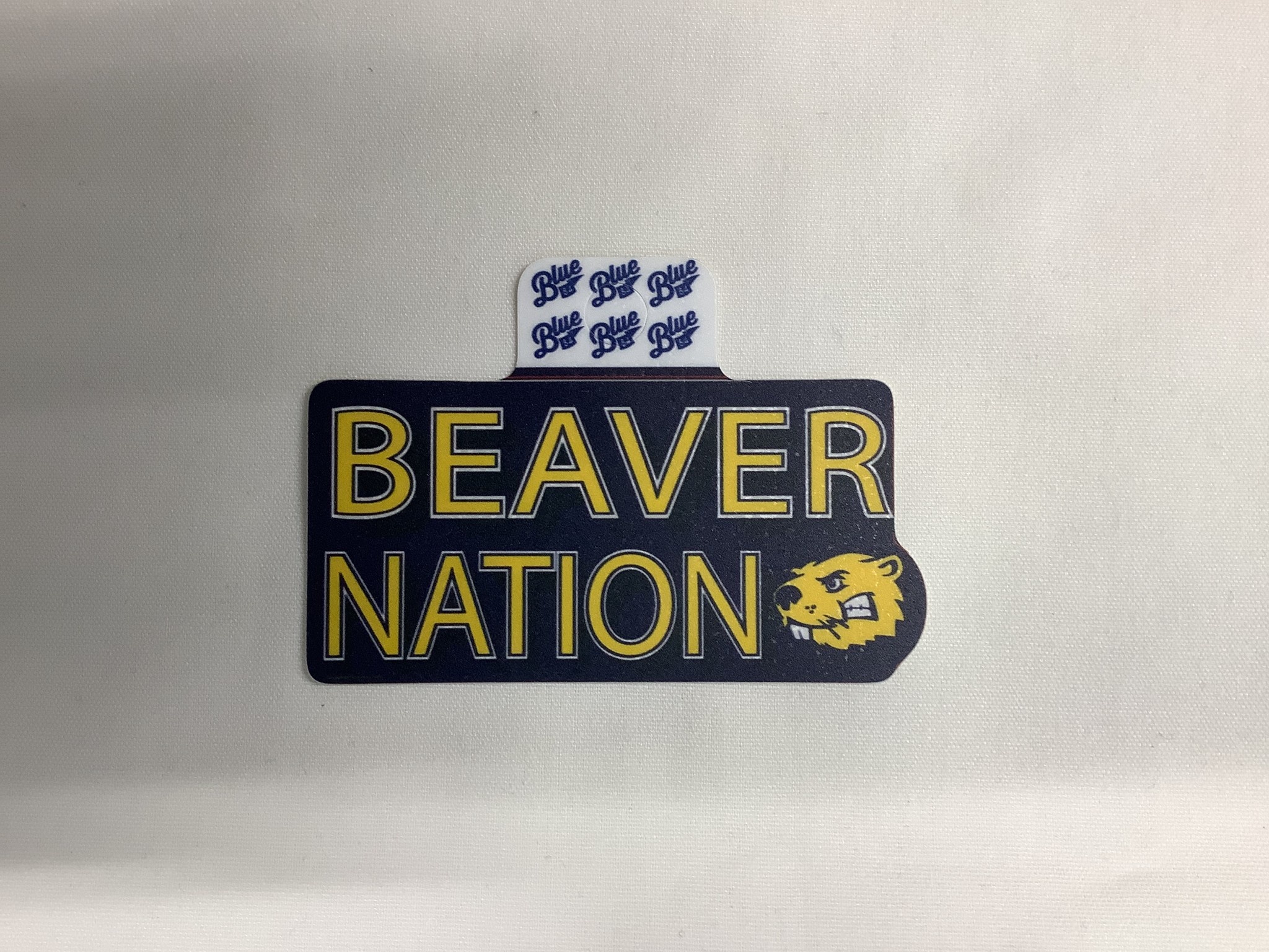Beaver Nation Sticker - Buena Vista University Spirit Store