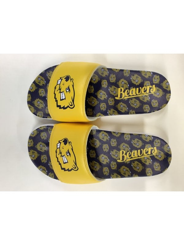 Accessories - Buena Vista University Spirit Store