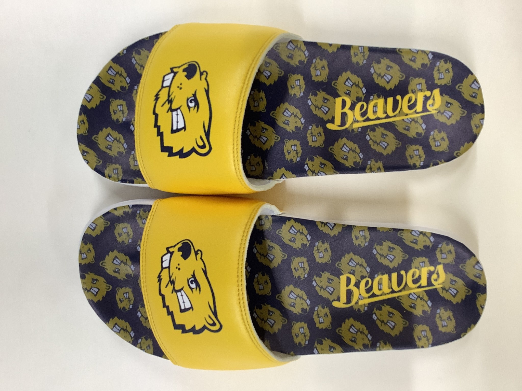 Beaver Slides - Buena Vista University Spirit Store