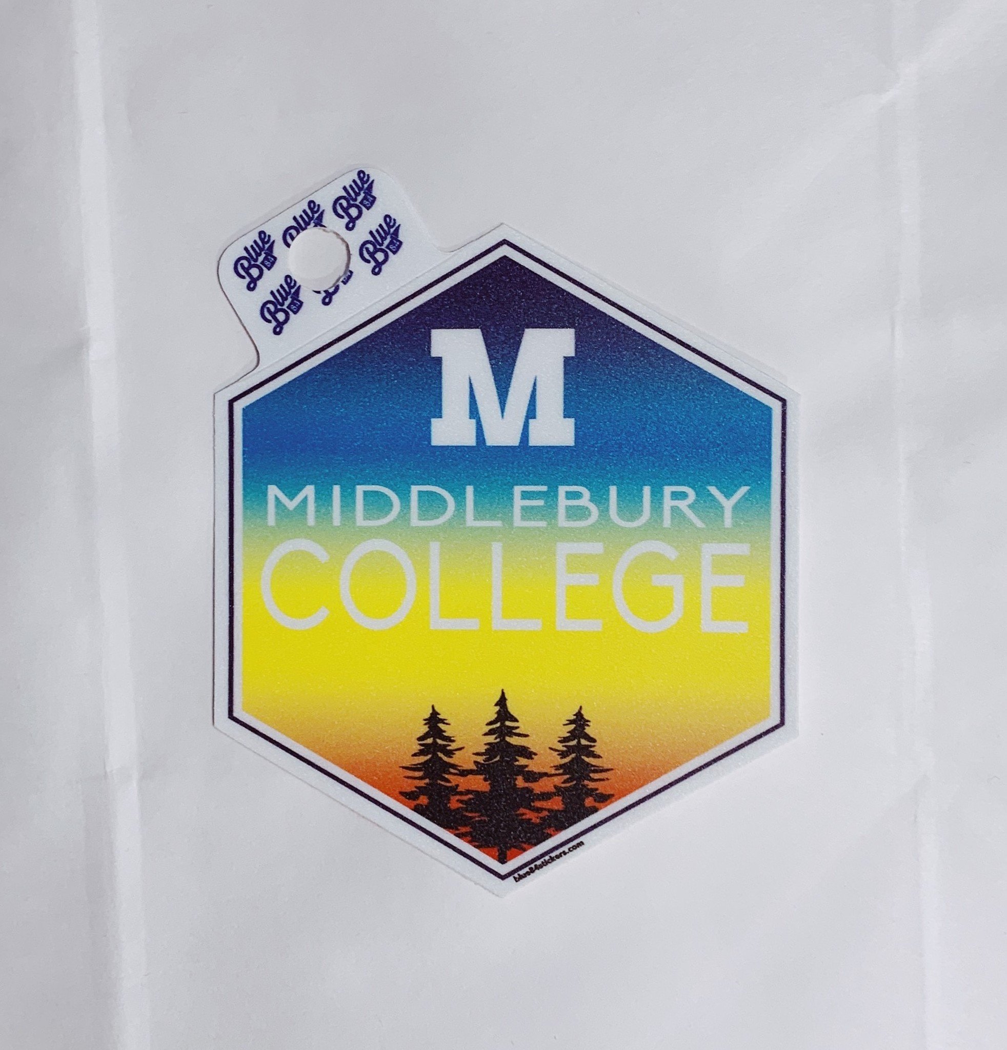 BLUE84 PINE TREE STICKER - middstore