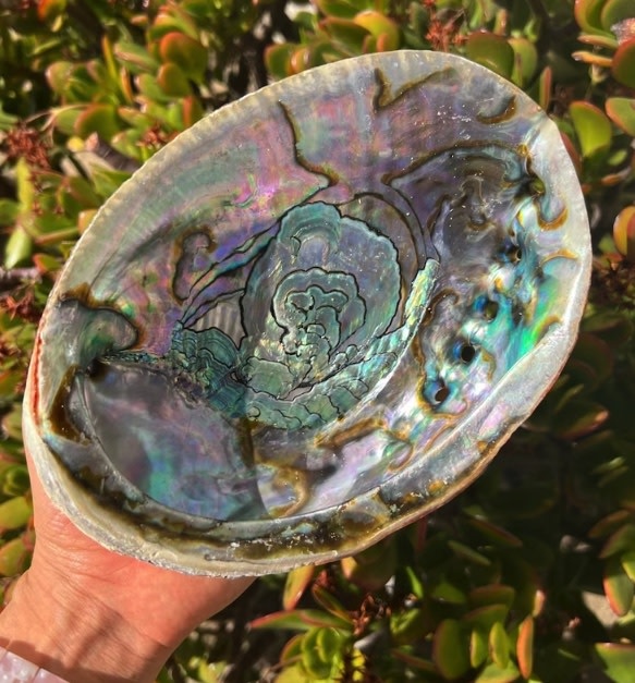 Sea Shell Smudge Holder - CANDLE TIME