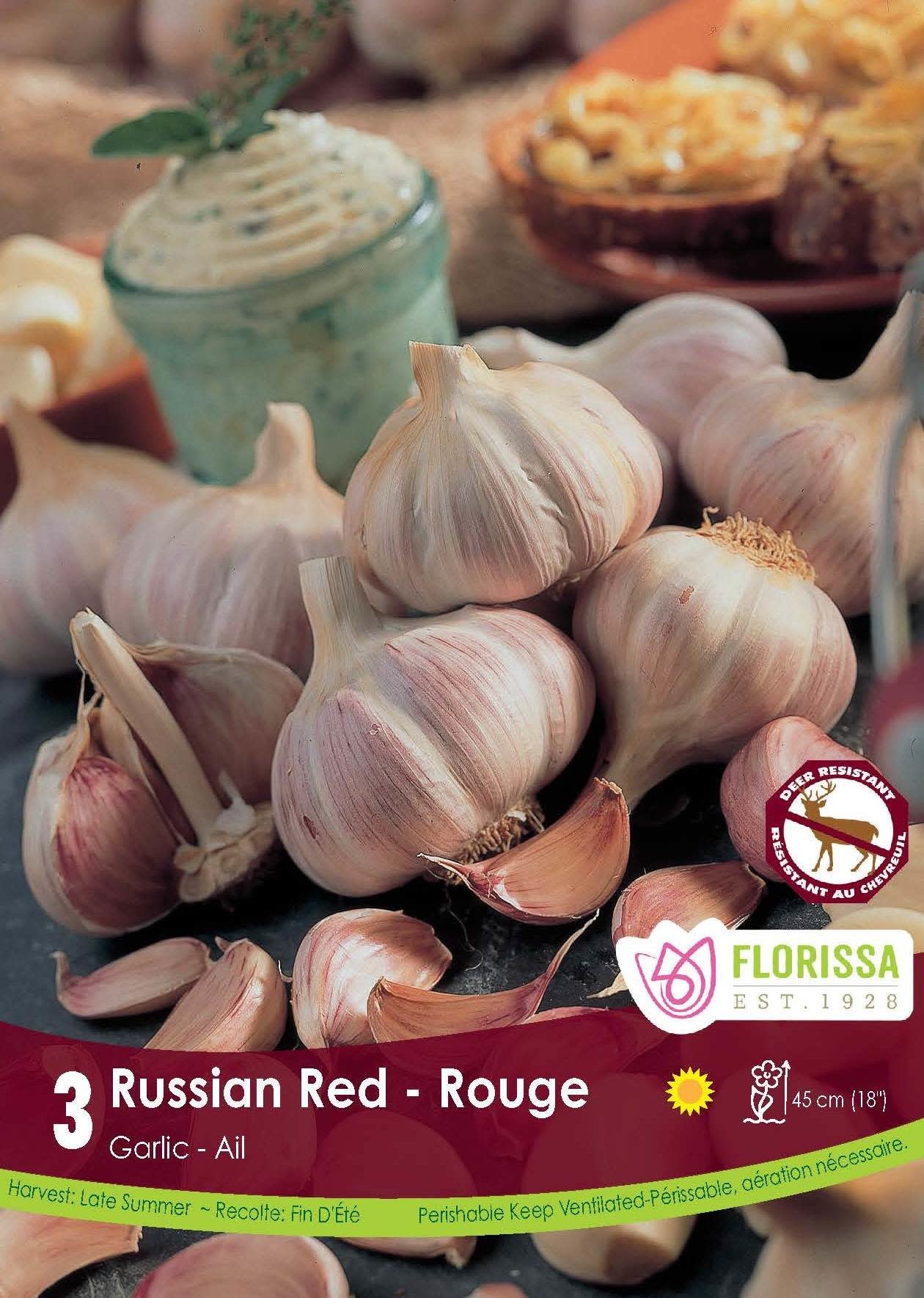 Russian Red Garlic 3/pkg - Hunniford Gardens