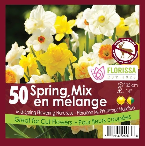 Spring Mix Daffodil (Narcissi) 50/pkg - Hunniford Gardens