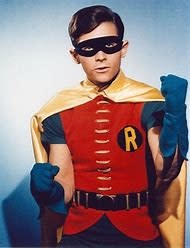 Robin-The Boy Wonder - Get A Hobby
