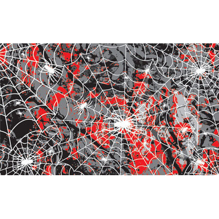 Body Skin Custom Transfer, Spider Web - Get A Hobby