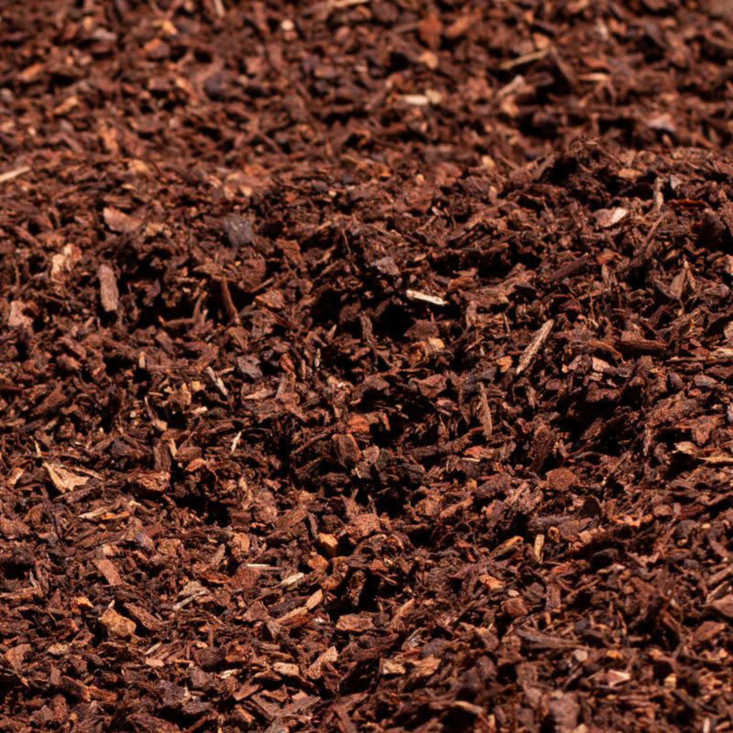 Humus Soil