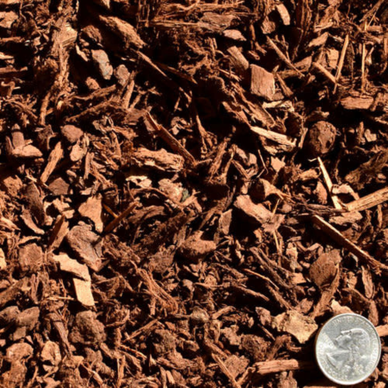 Mini Fir Bark - Evergreen Nursery