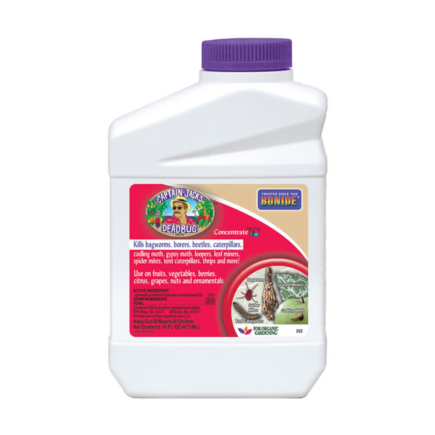 Bonide Captain Jack Deadbug - Evergreen Nursery