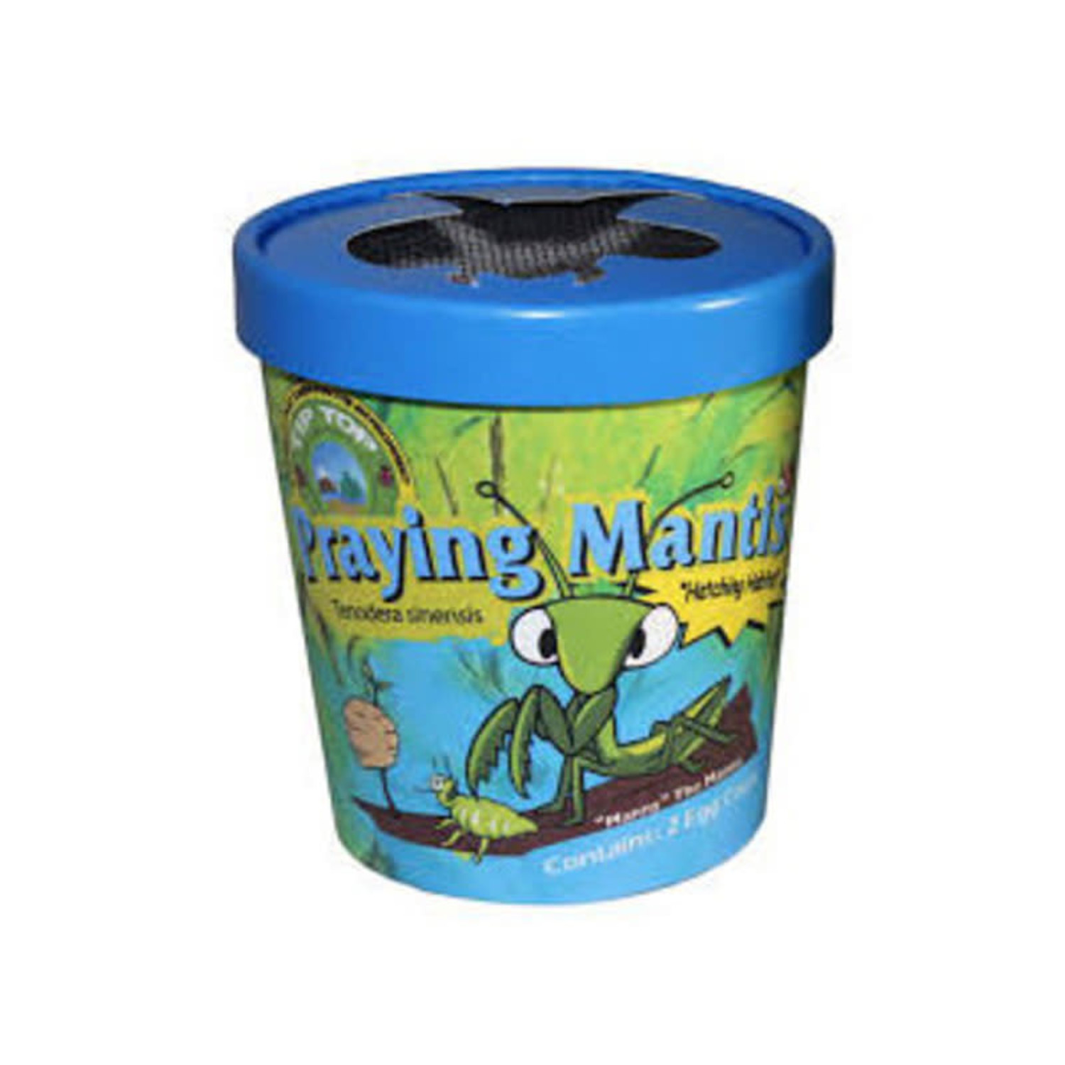 Praying Mantis Supplies