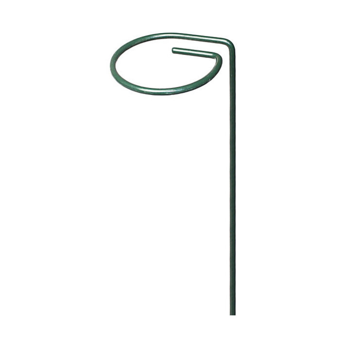 Garden Plant Supports - Evergreen Nursery