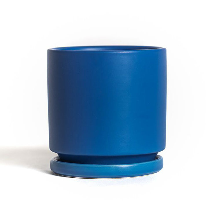 Evergreen Nursery - Evergreen Nursery