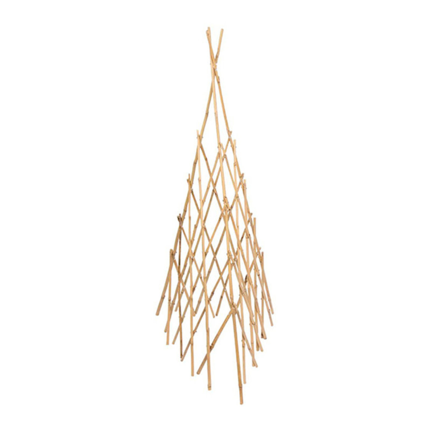 Bond Bamboo Teepee Trellis - Evergreen Nursery