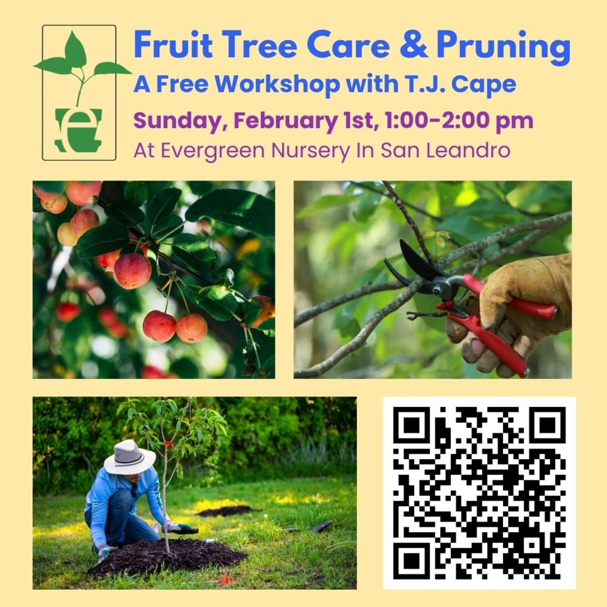 Evergreen Nursery Blog & Events - Free Workshop: Fruit Trees 101, Care ...