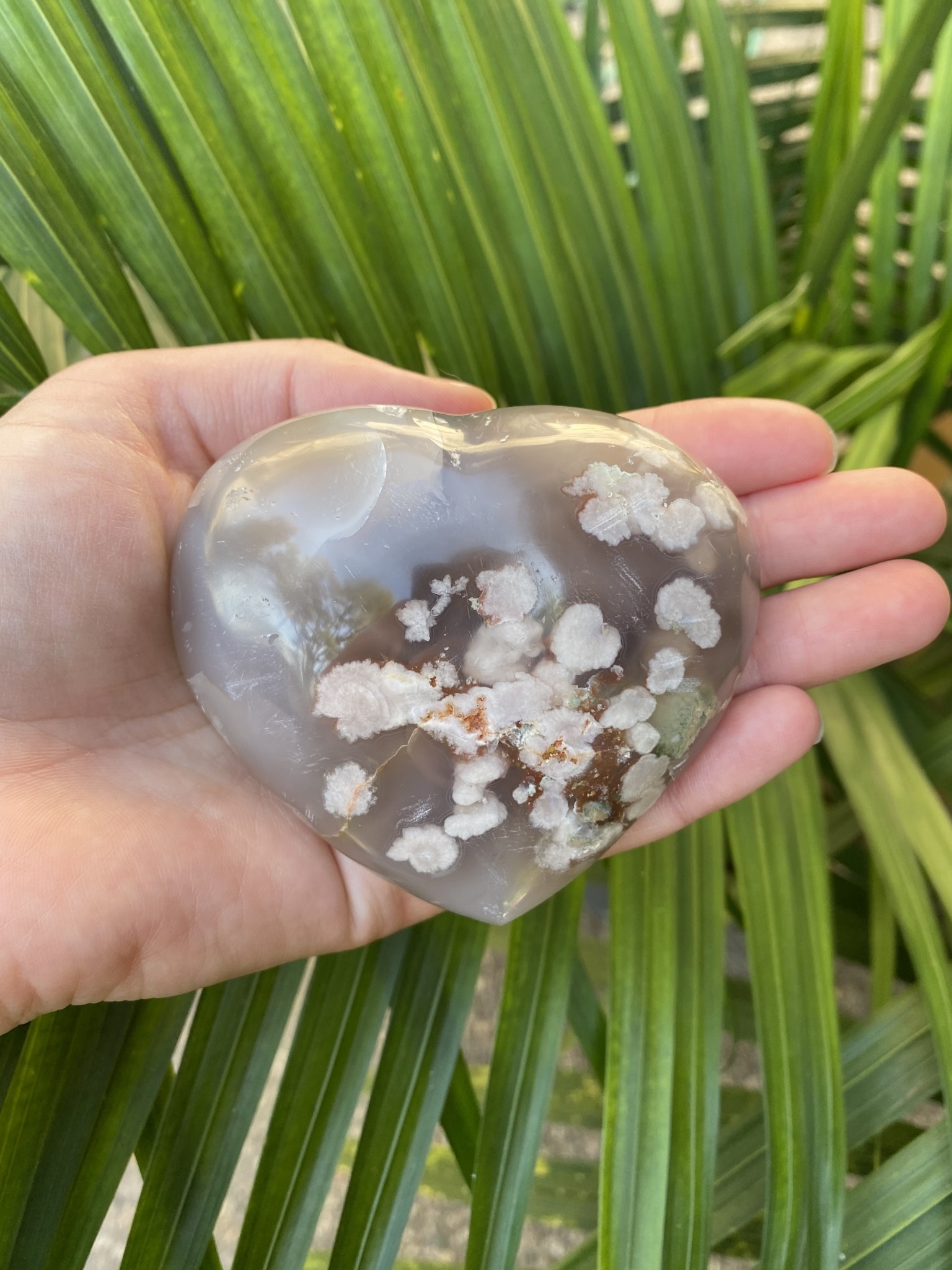 Flower Agate Heart, Size Giant-Plus [275-299gr] - The Raw Rock Shop Inc.