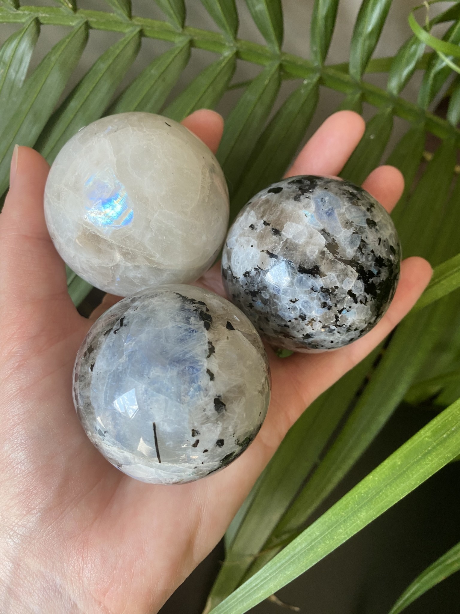 Rainbow Moonstone Sphere, 50-54mm - The Raw Rock Shop Inc.