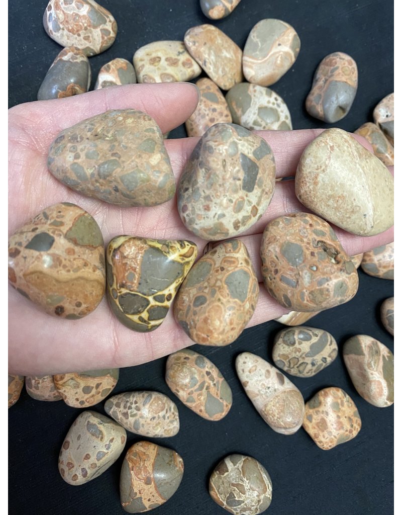 Leopardite Jasper Tumbled Stones, Polished Leopardite Jasper, Grade A ...