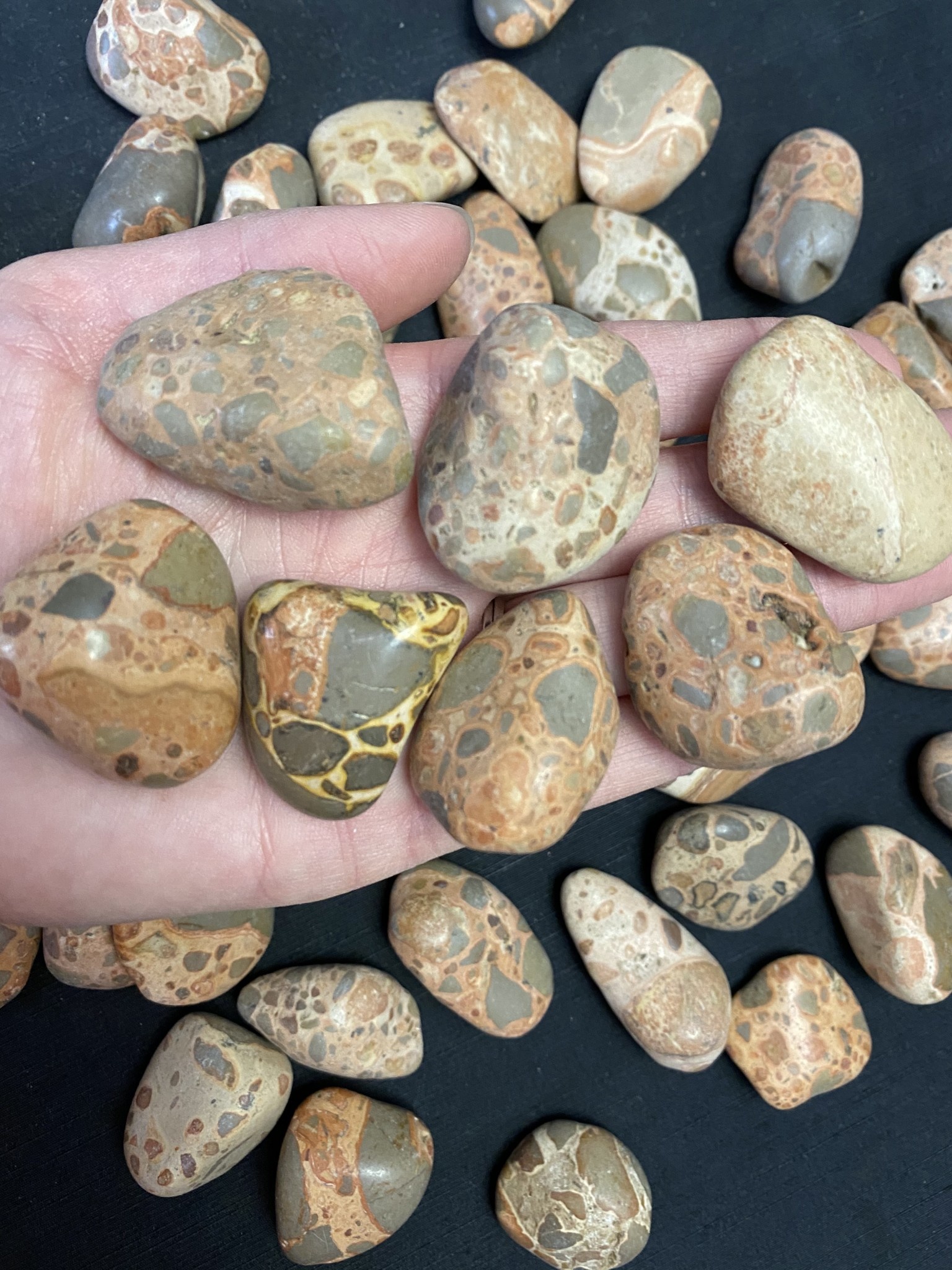Leopardite Jasper Tumbled Stones, Polished Leopardite Jasper, Grade A ...