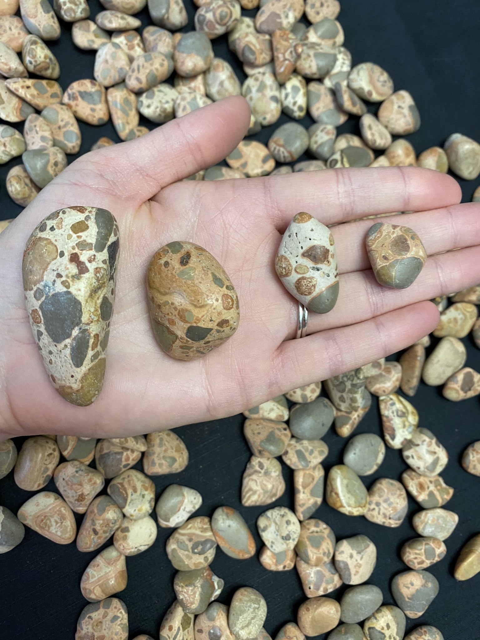 Leopardite Jasper Tumbled Stones, Polished Leopardite Jasper, Grade A ...
