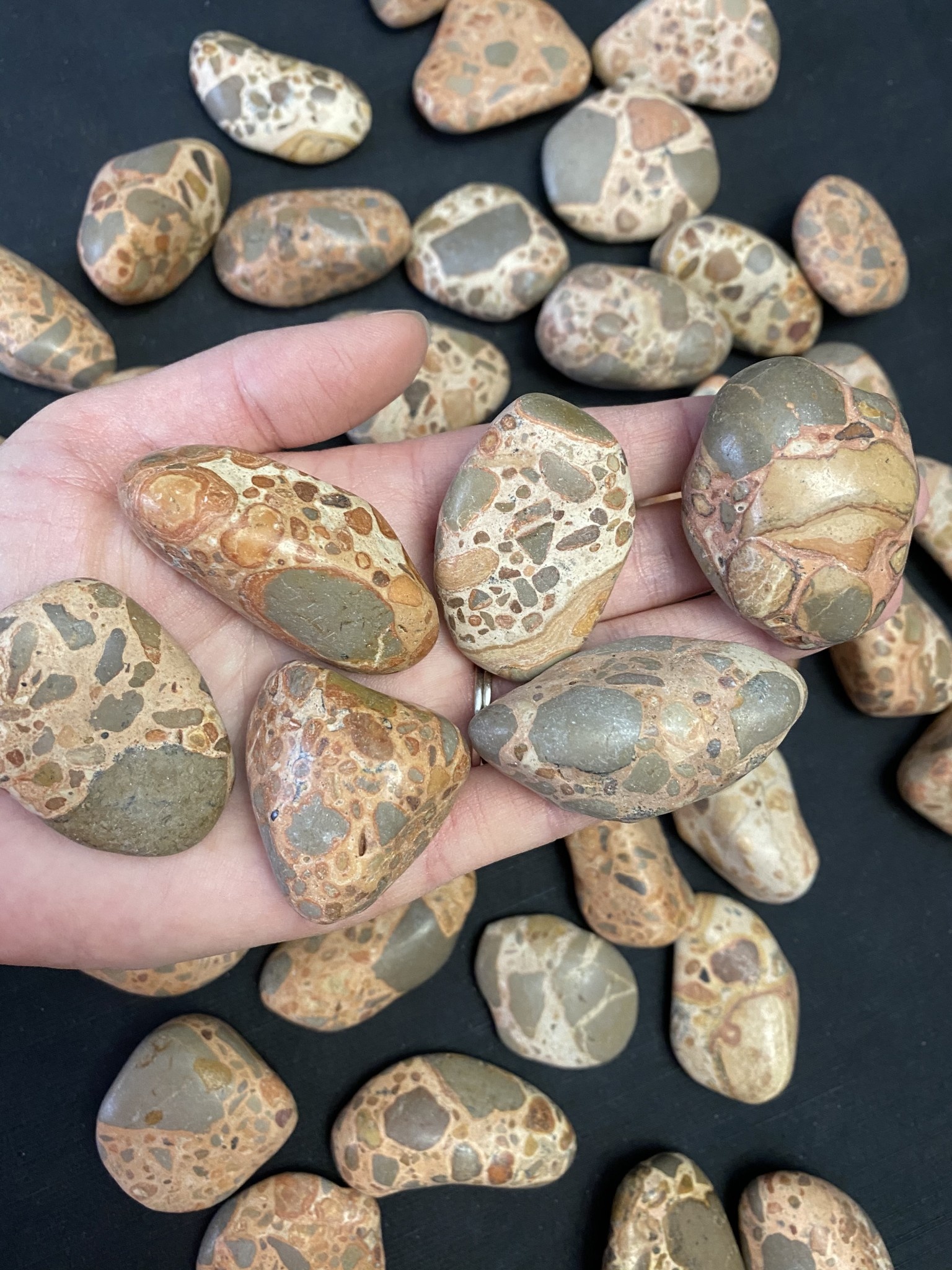Leopardite Jasper Tumbled Stones, Polished Leopardite Jasper, Grade A ...