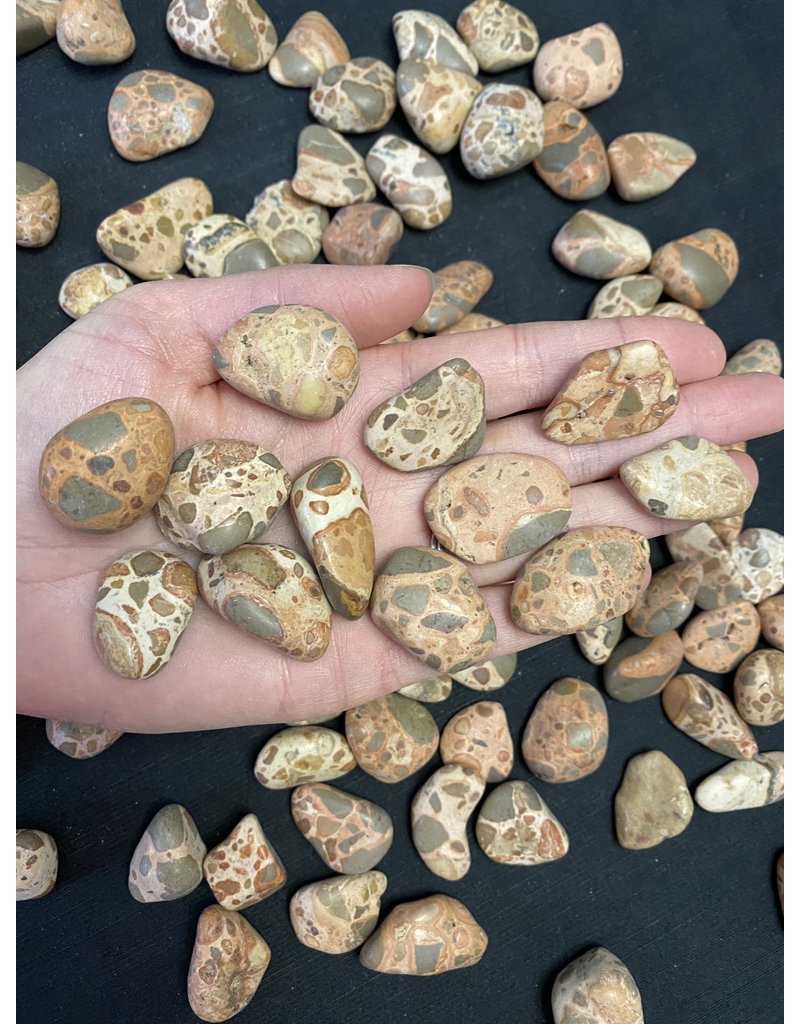 Leopardite Jasper Tumbled Stones, Polished Leopardite Jasper, Grade A ...