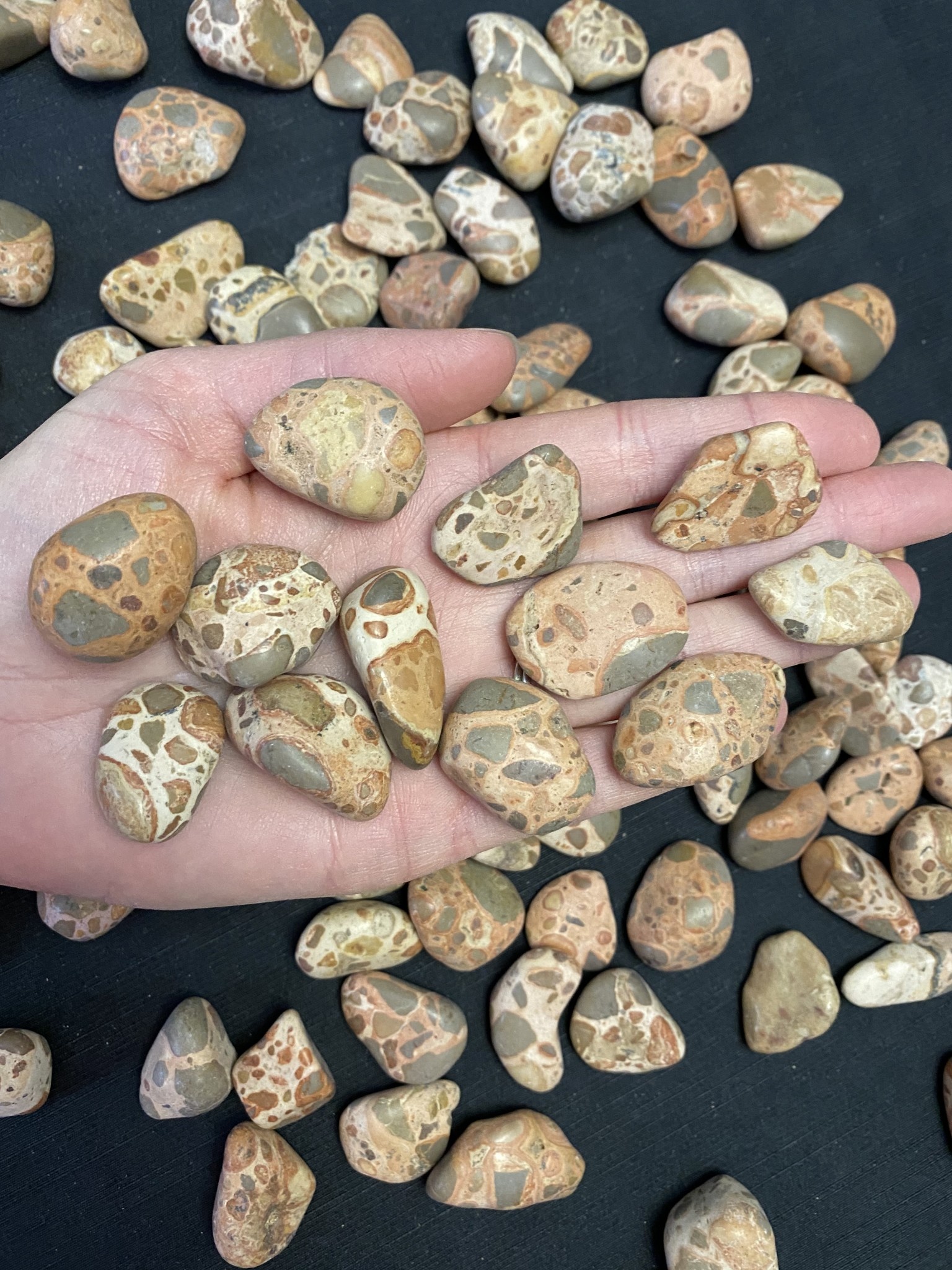 Leopardite Jasper Tumbled Stones, Polished Leopardite Jasper, Grade A ...