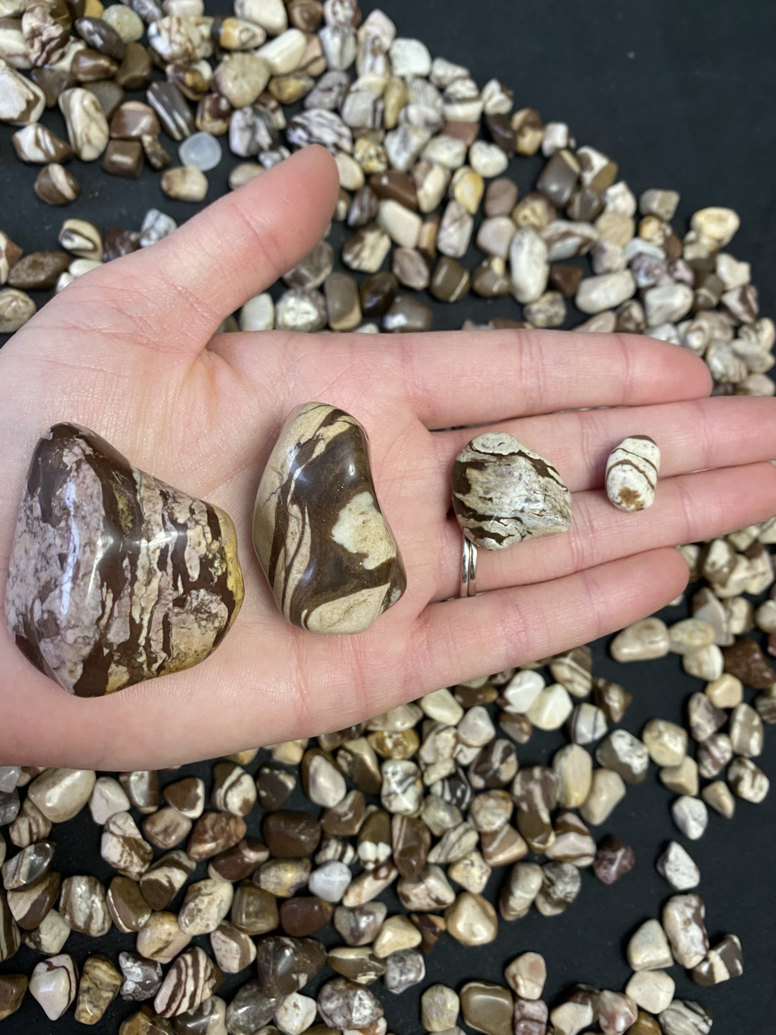 Zebra Jasper Tumbled Stones, Polished Zebra Jasper, Grade A; 4 sizes ...