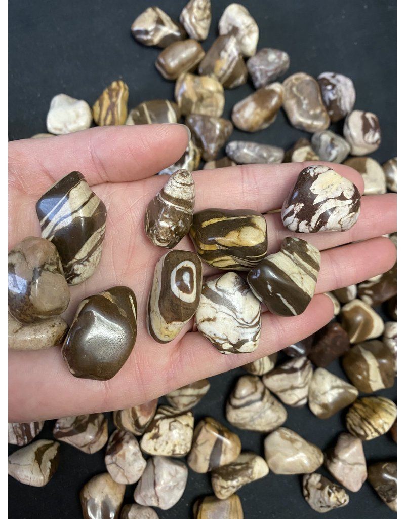 Zebra Jasper Tumbled Stones, Polished Zebra Jasper, Grade A; 4 sizes ...