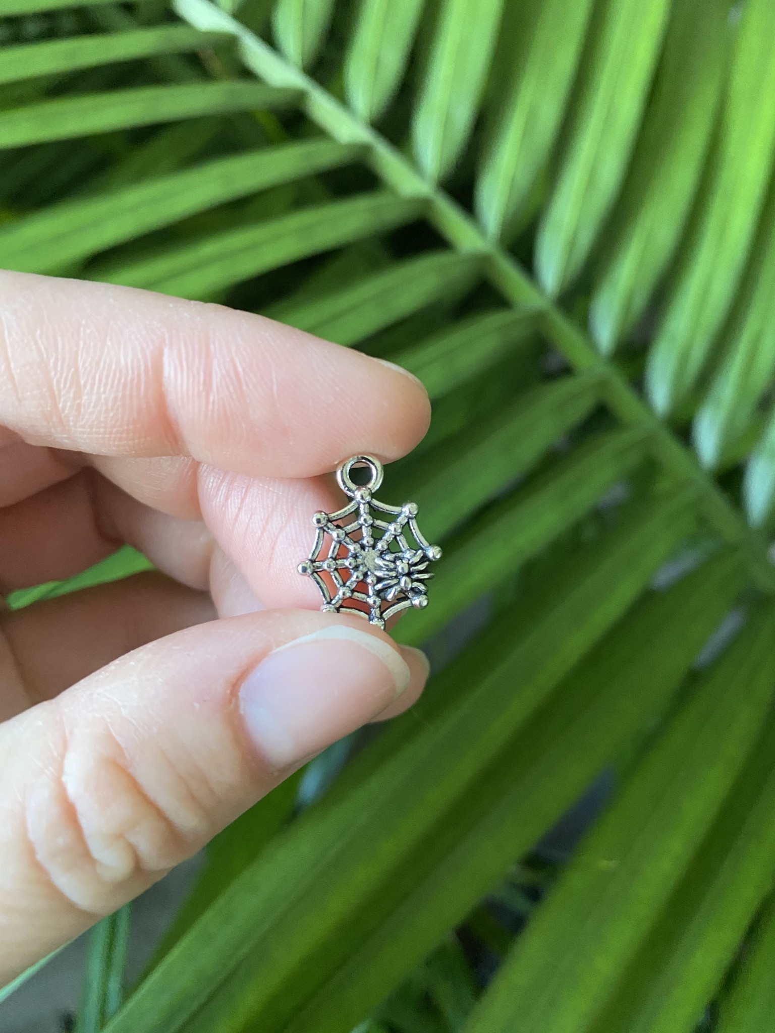 5 Piece Spider Web Charm Antique Silver 17mm x 14mm 5 Pack - The Raw ...