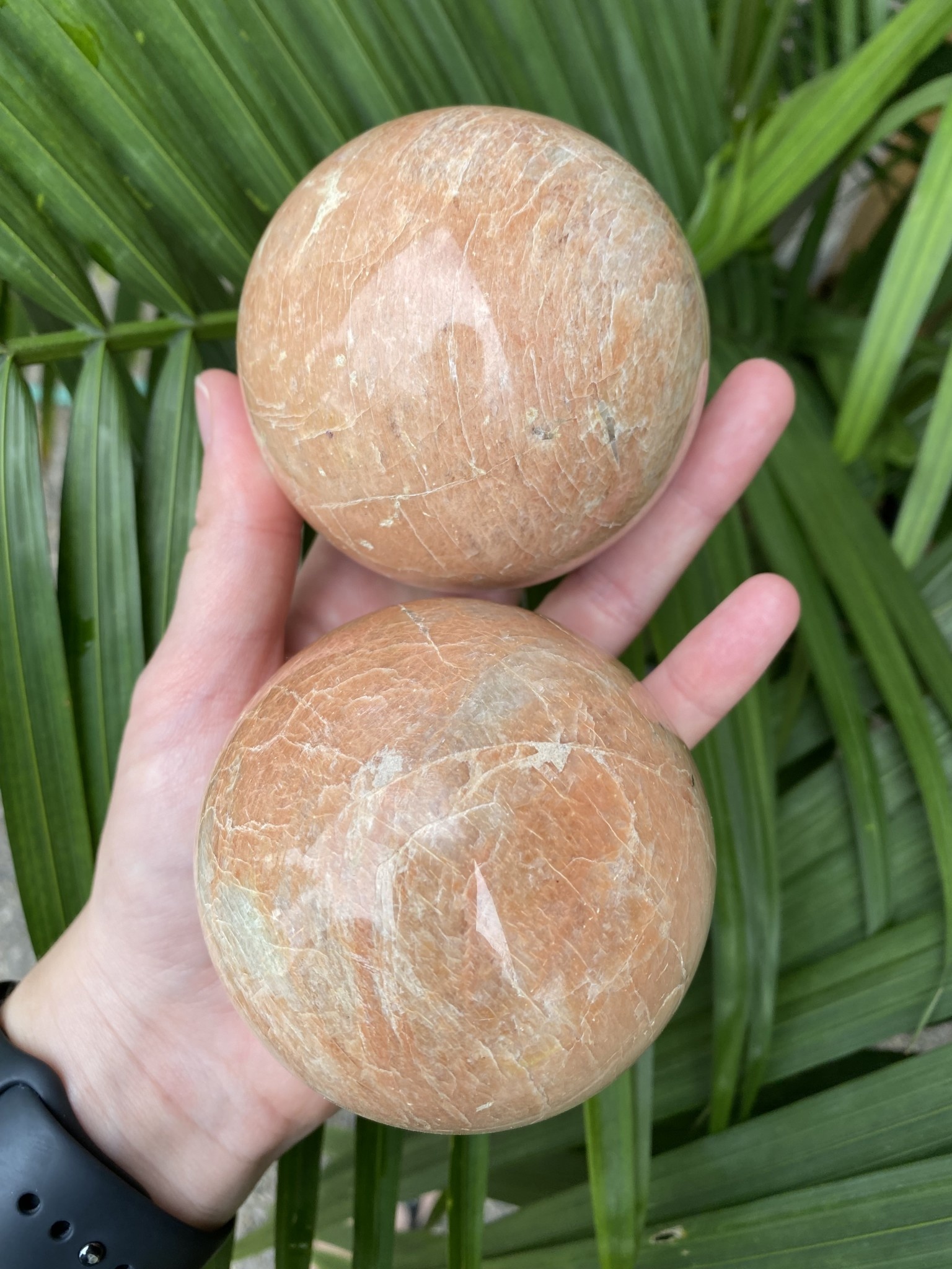 Peach Moonstone Sphere, 75-79mm - The Raw Rock Shop Inc.