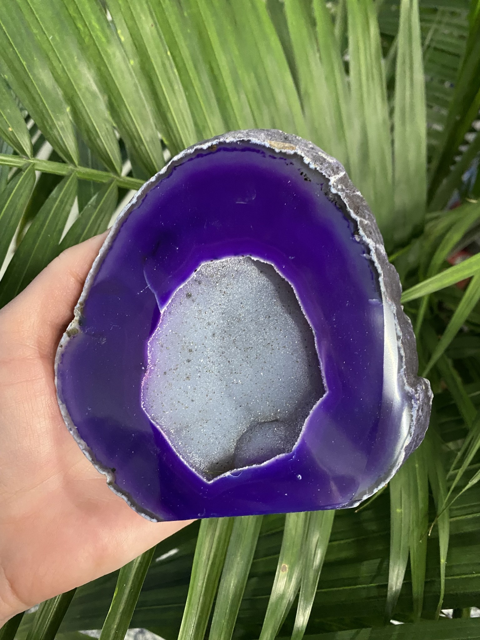 Purple Agate Geode Cut Base Size 8 [700-799gr] - The Raw Rock Shop Inc.