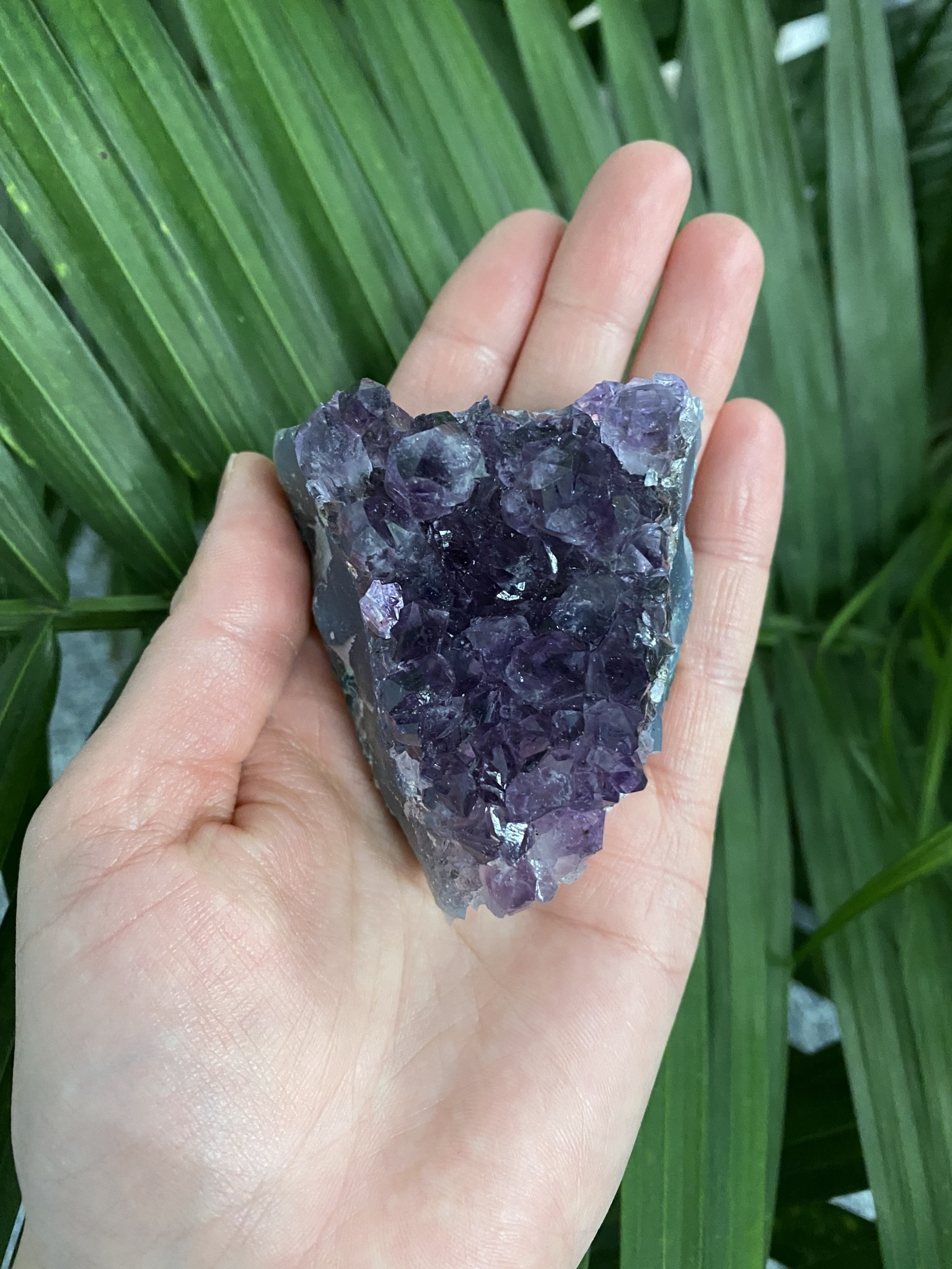 Amethyst Druzy Clusters Size 2 [100-199gr] - The Raw Rock Shop Inc.