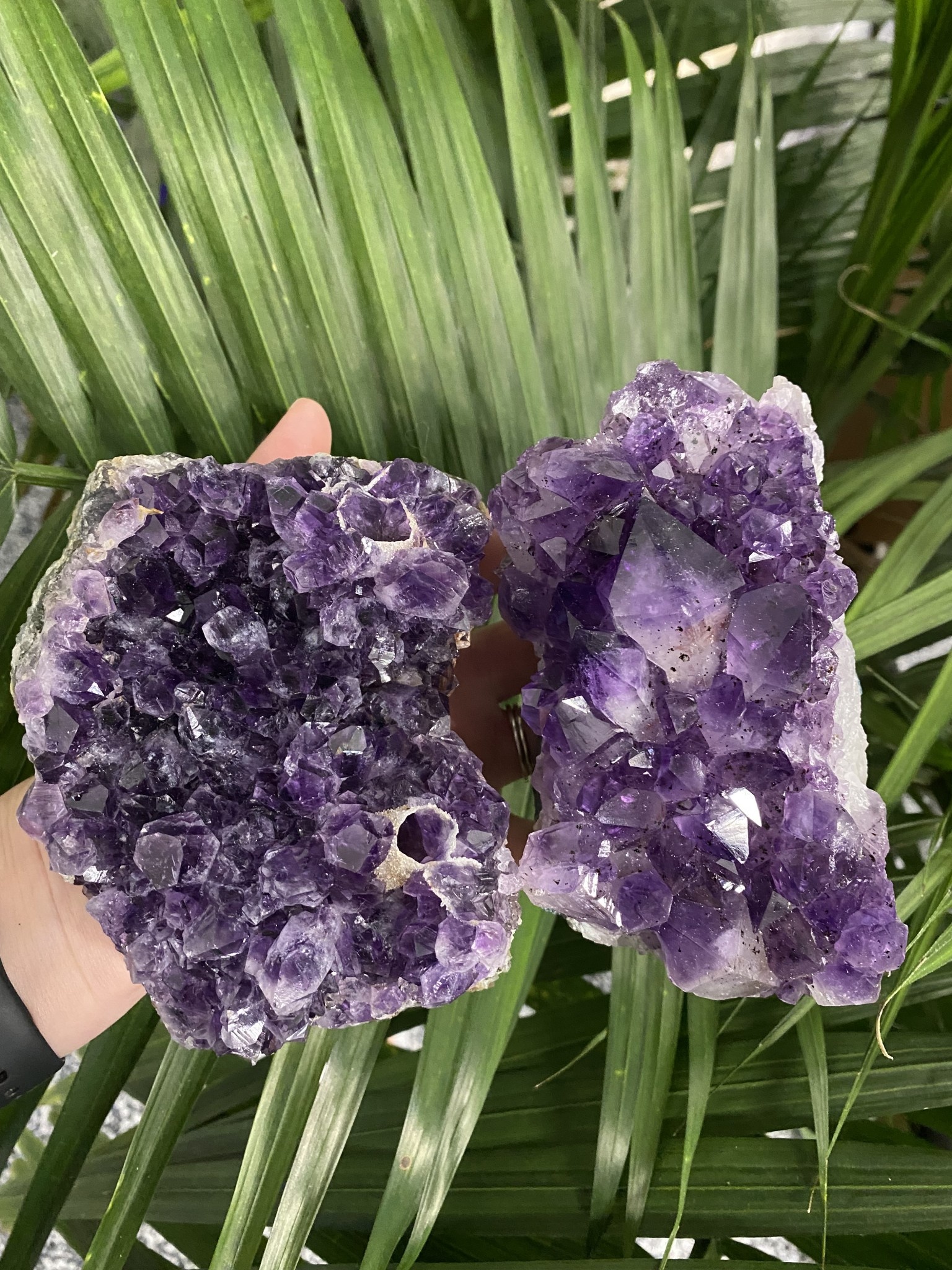 Amethyst Druzy Clusters Size 8 [700-799gr] - The Raw Rock Shop Inc.