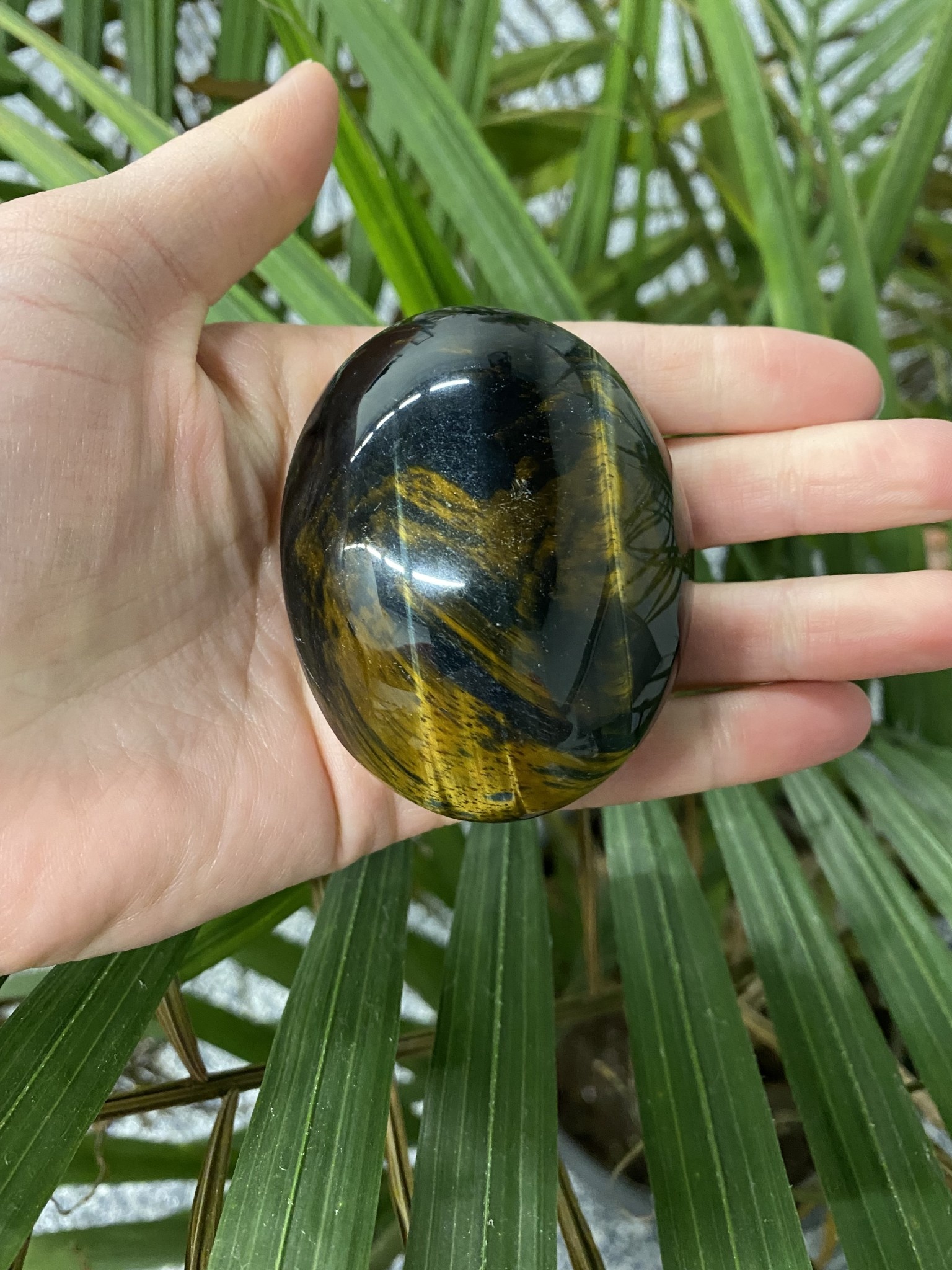 Tiger Eye Palm Stone, Size X-Large [150-174gr] - The Raw Rock Shop Inc.