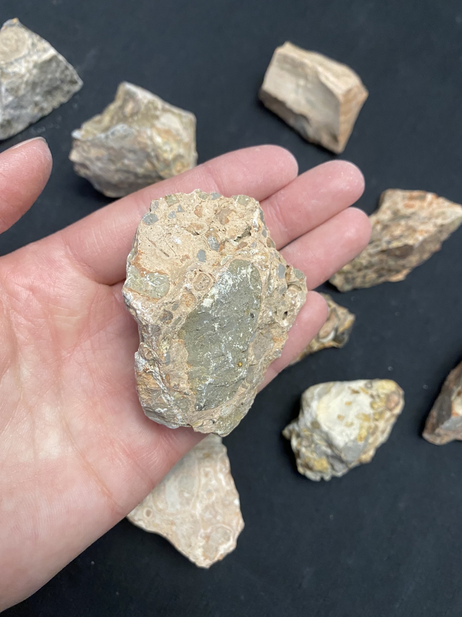 Rough Leopardite Size Small 500gr Bulk Pack - The Raw Rock Shop Inc.