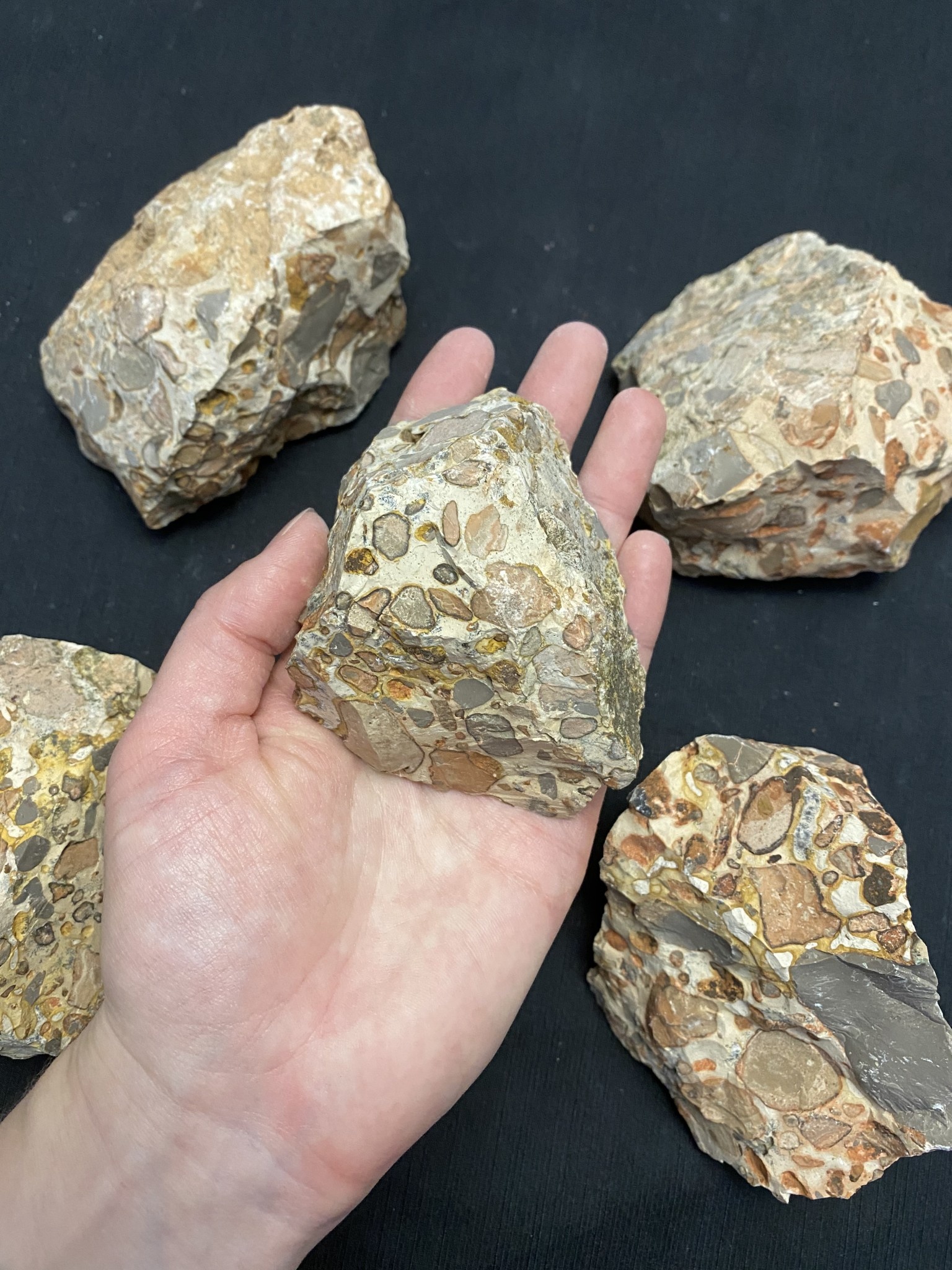 Rough Leopardite Size Small 500gr Bulk Pack - The Raw Rock Shop Inc.