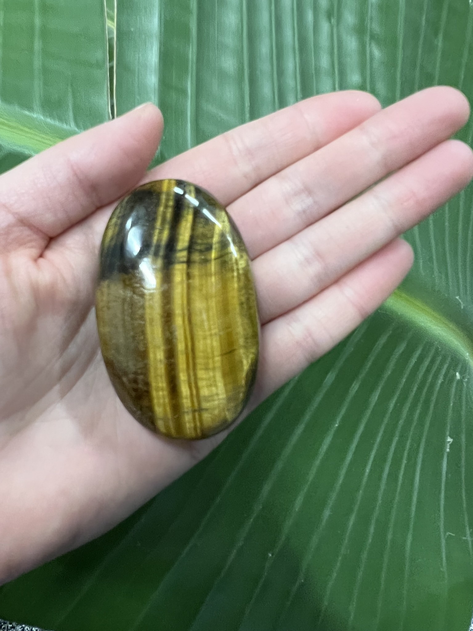 Tiger Eye Palm Stone, Size Small [75-99gr] - The Raw Rock Shop Inc.