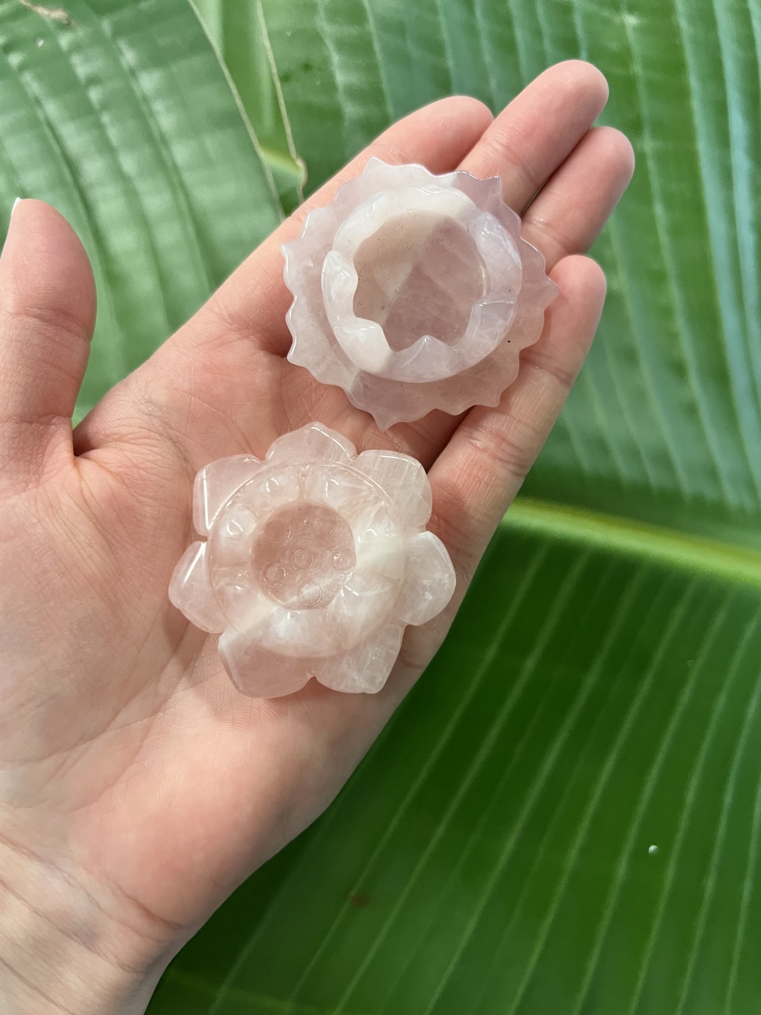 Rose Quartz Lotus Flower - The Raw Rock Shop Inc.