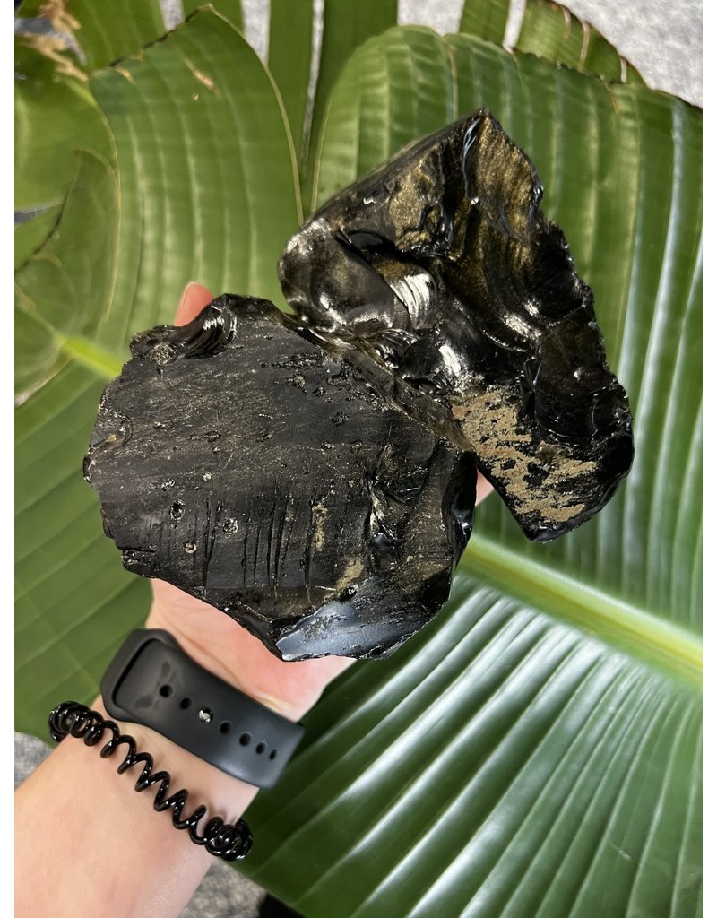 Rough Gold Sheen Obsidian Size 6 [500-599gr] - The Raw Rock Shop Inc.