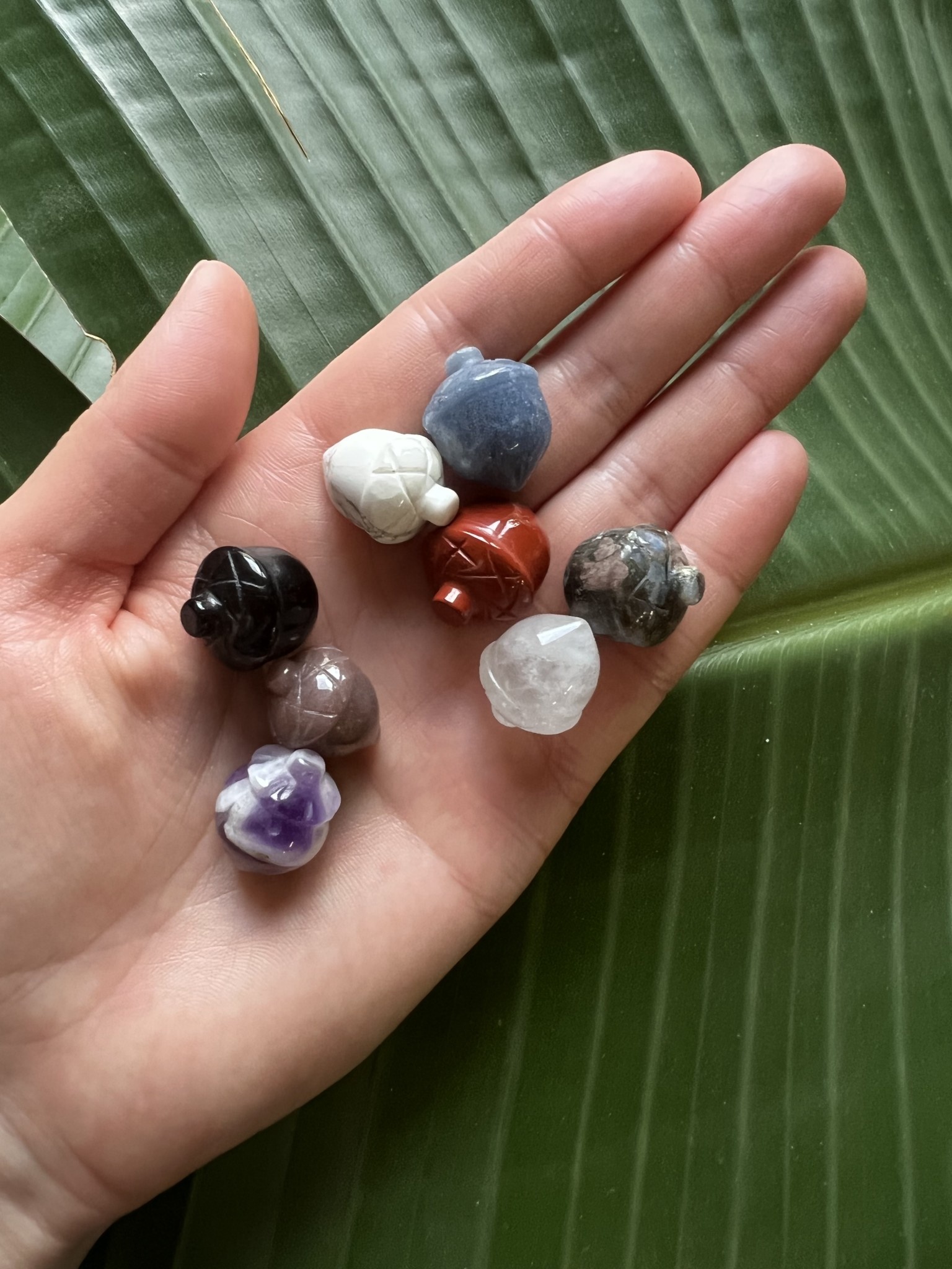 Mini Acorn - The Raw Rock Shop Inc.