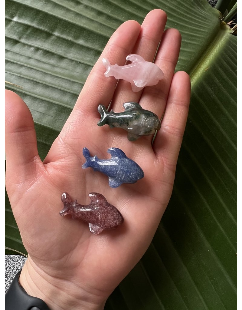 Mini Shark - The Raw Rock Shop Inc.