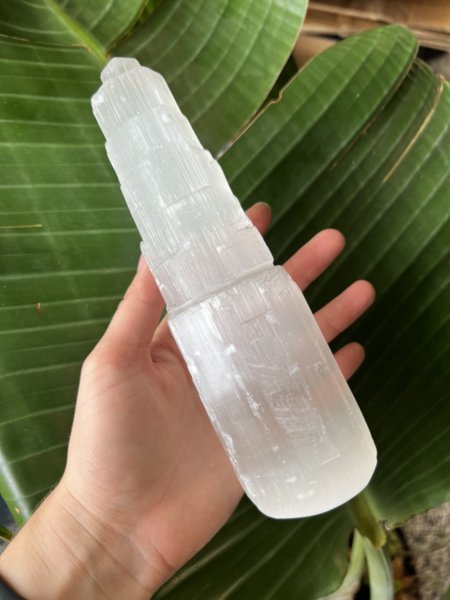 Selenite Natural Tower 20cm - The Raw Rock Shop Inc.