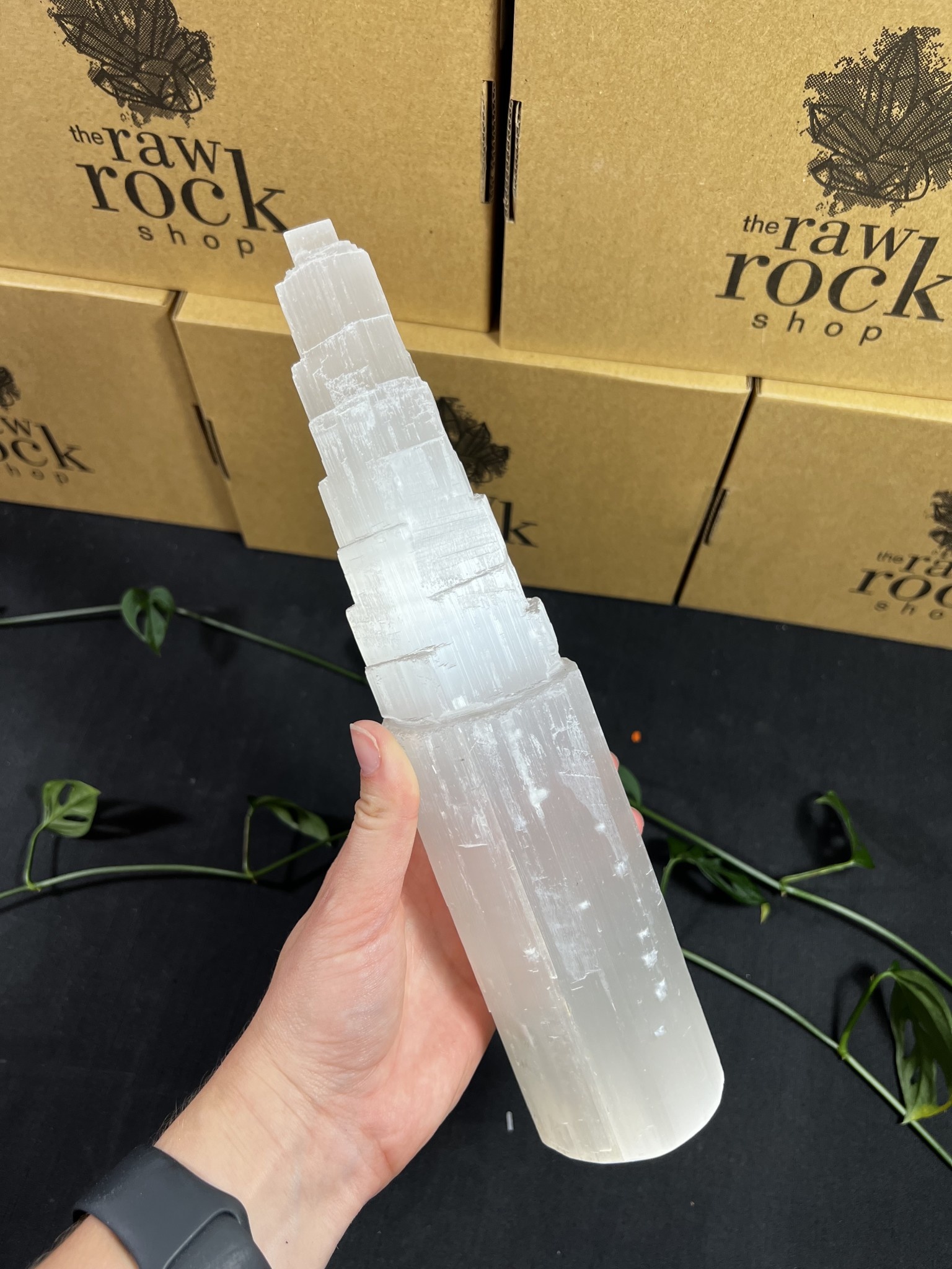 Selenite Natural Tower 30cm - The Raw Rock Shop Inc.