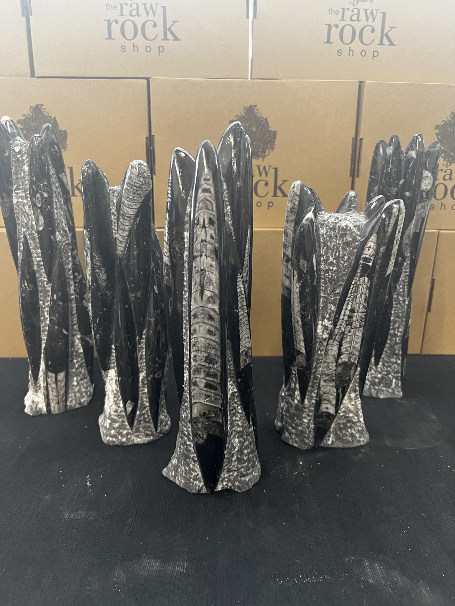 Orthoceras Tower, Orthoceras Fossil 27-30cm - The Raw Rock Shop Inc.