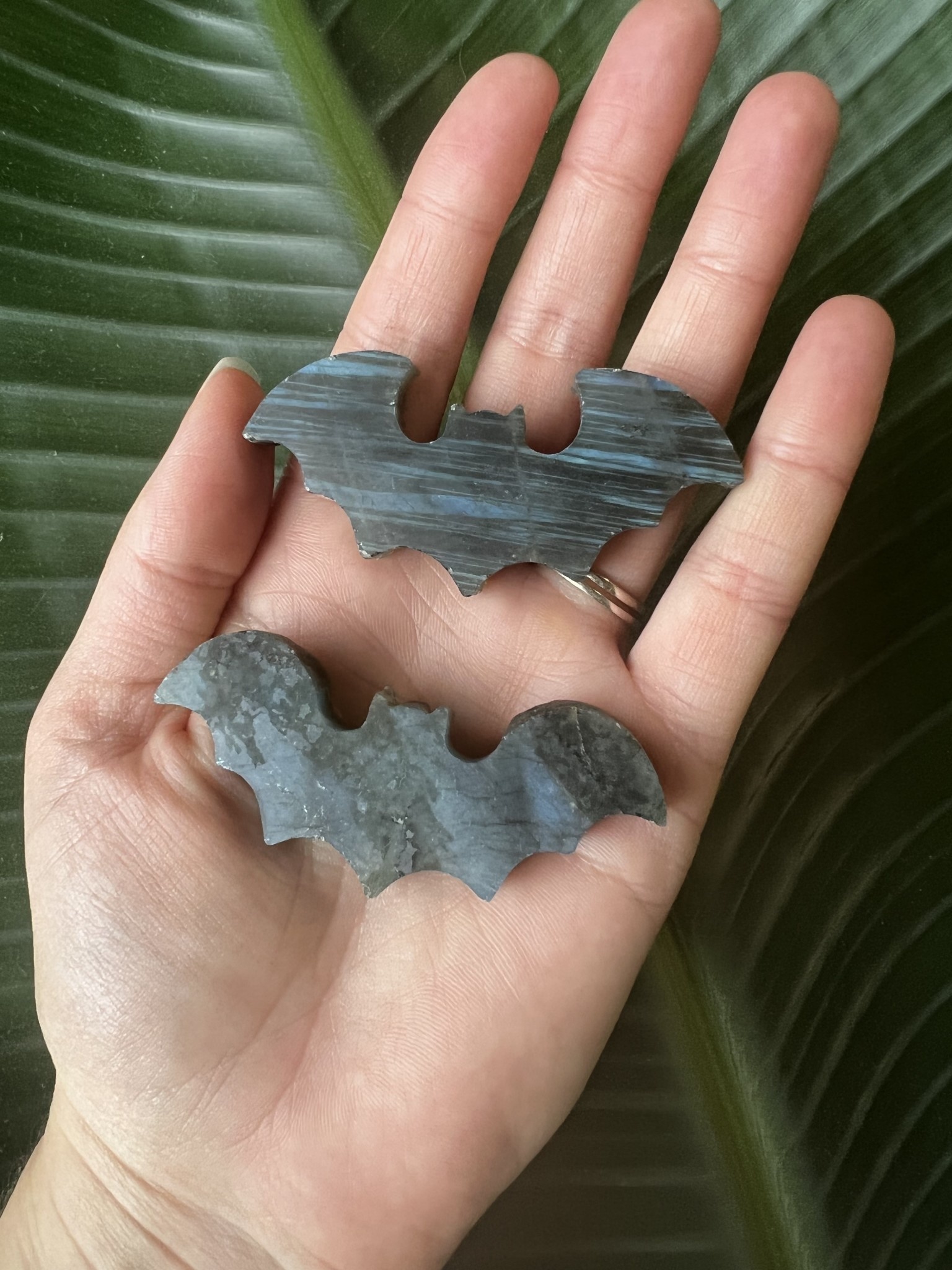 Labradorite Bat Carving - The Raw Rock Shop Inc.