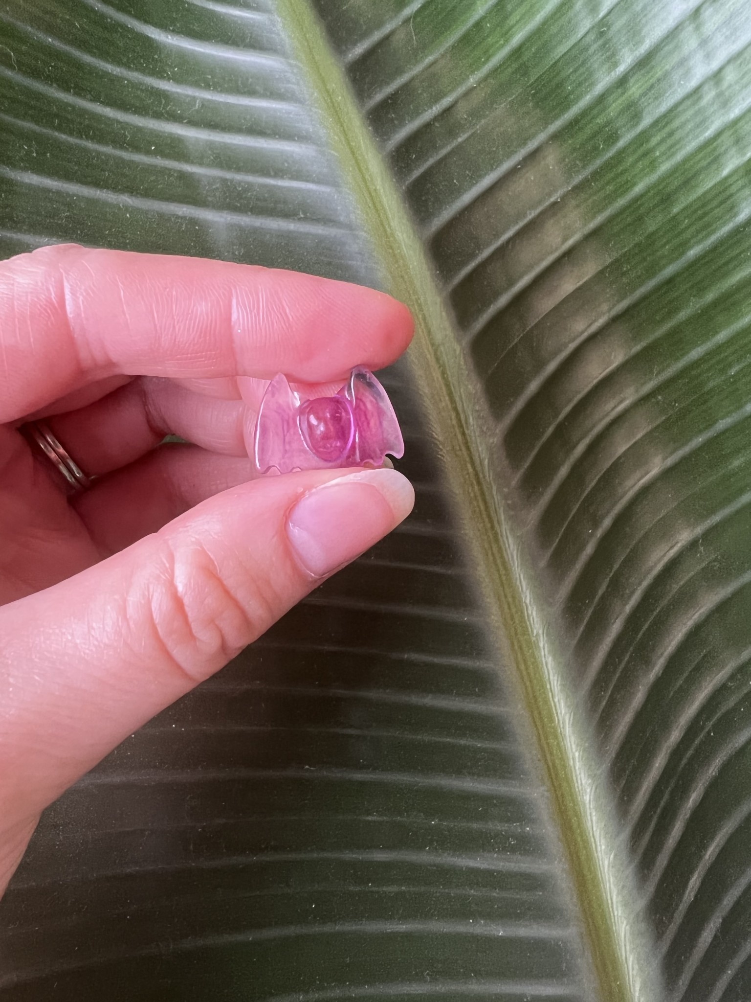 Mini Fluorite Bat - The Raw Rock Shop Inc.