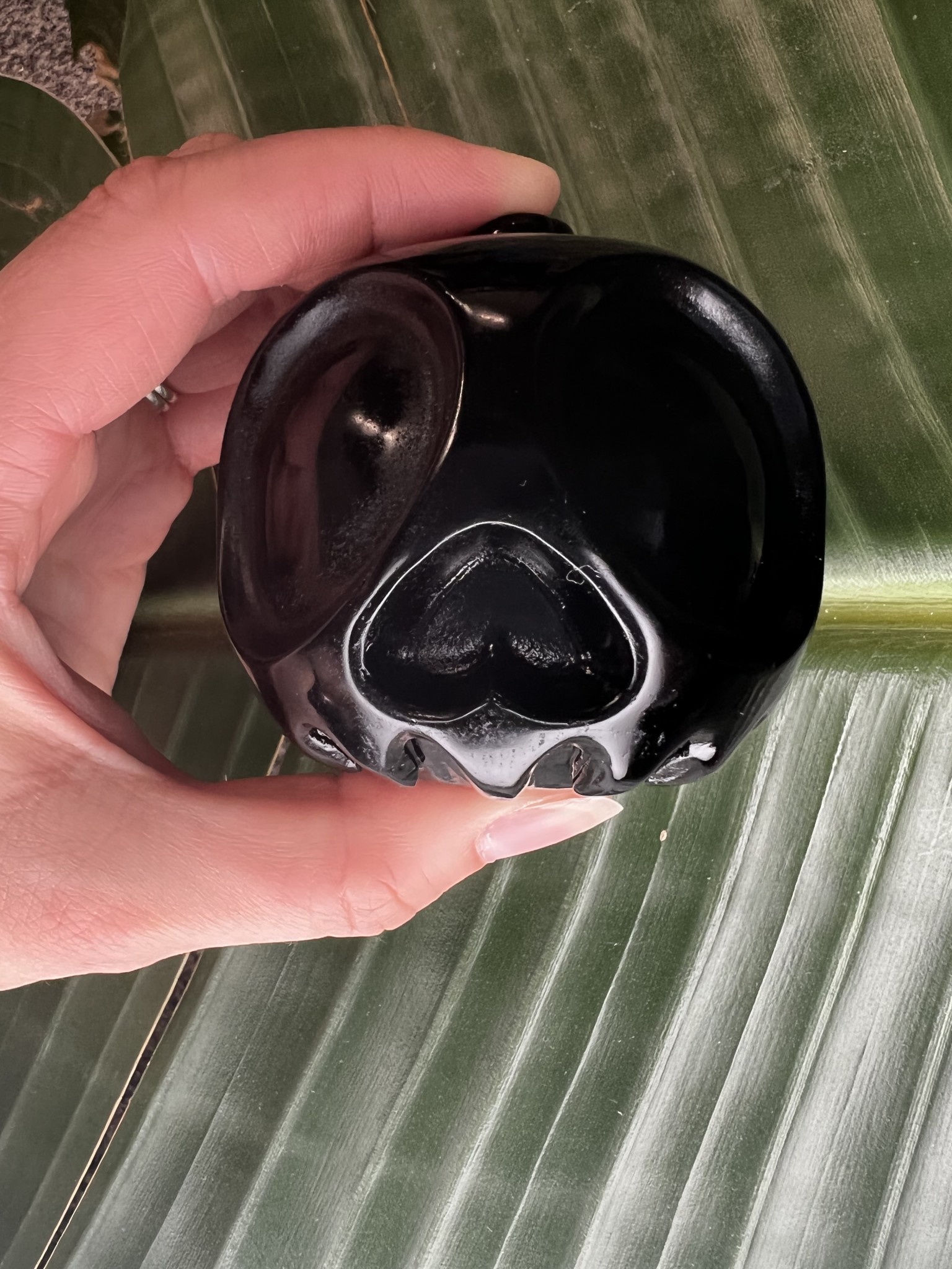 Black Obsidian Apple Skull - The Raw Rock Shop Inc.