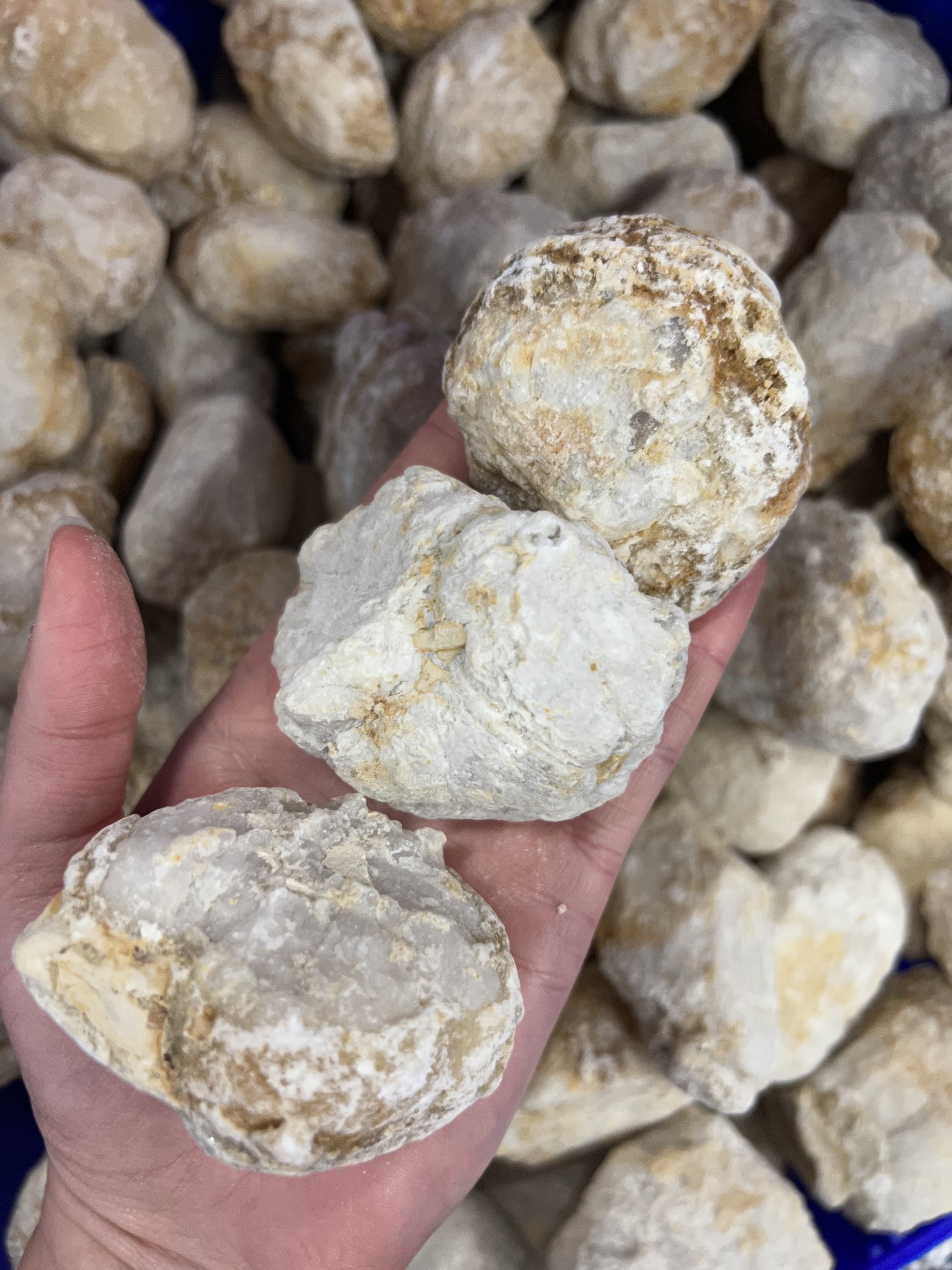 Break Your Own Moroccan Geode, Size 2 [100-199gr] - The Raw Rock Shop Inc.