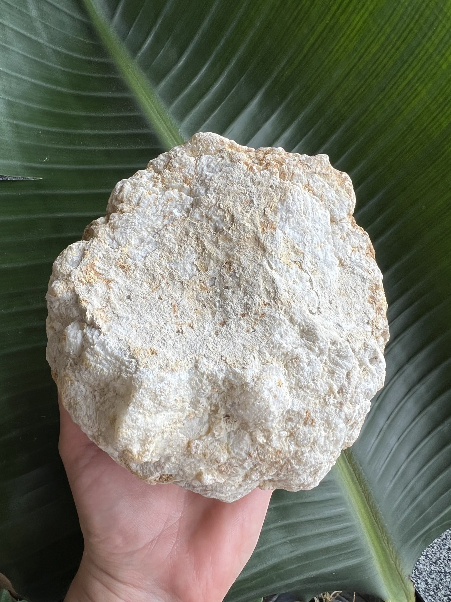 Break Your Own Moroccan Geode, Size 11 [1000-1099gr] - The Raw Rock ...