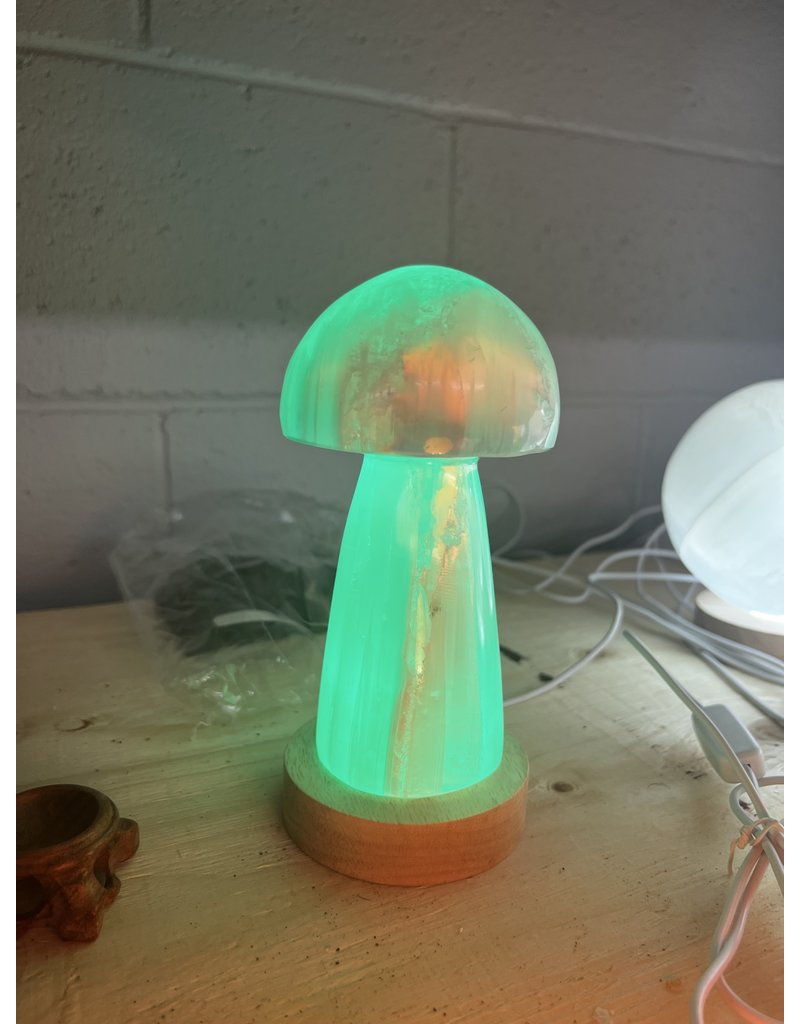 LED Light Base Lrg, multi colour - The Raw Rock Shop Inc.