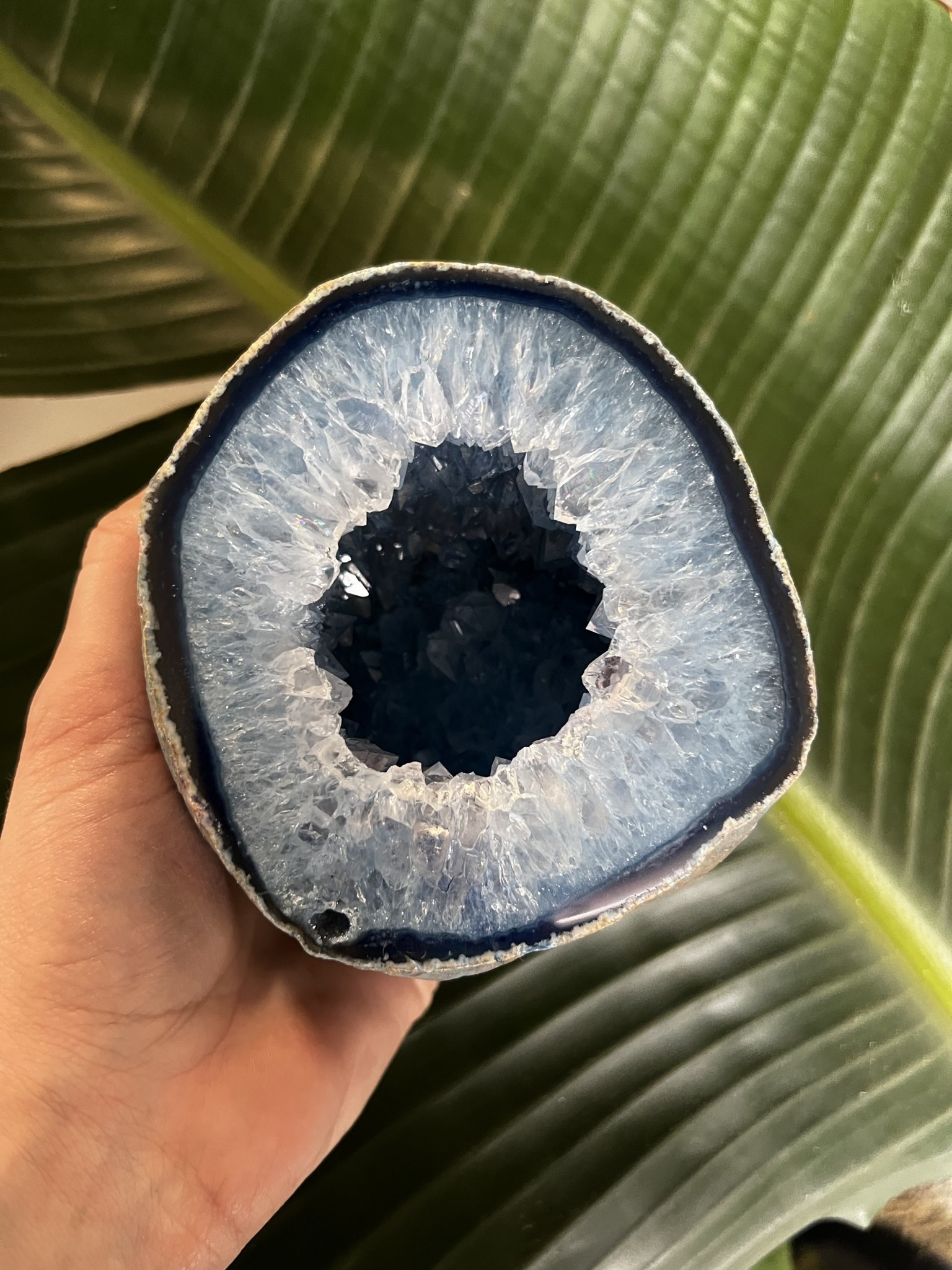 Blue Agate Geode Cut Base Size 11 [1000-1099gr] - The Raw Rock Shop Inc.